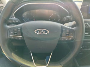 Ford Focus - 442 brugte til salg på Bilbasen